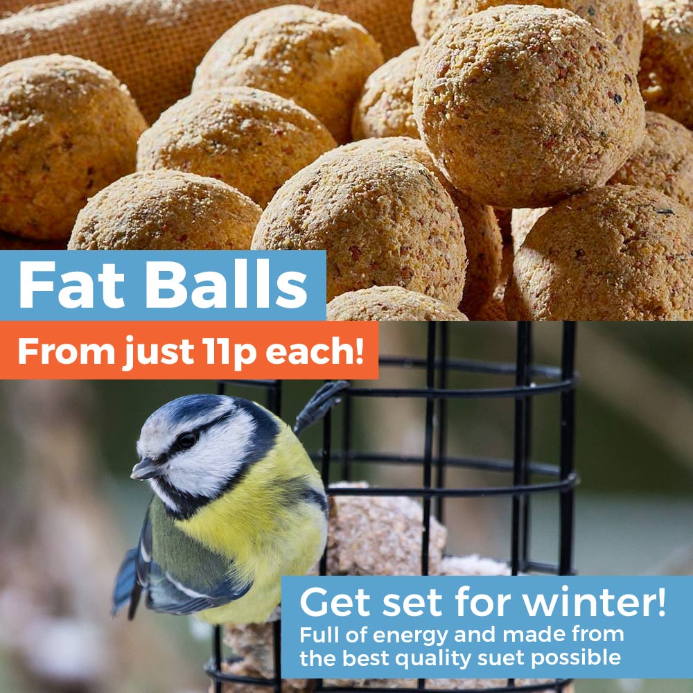 Happy Beaks Bird Food | Wild Bird Feed | Free Next Day Delivery*
