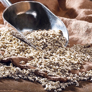 Suet pellets for birds | Happy Beaks