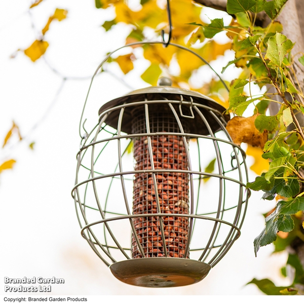 Happy Beaks - Orbital Squirrel Proof Peanut Feeder | Happy Beaks