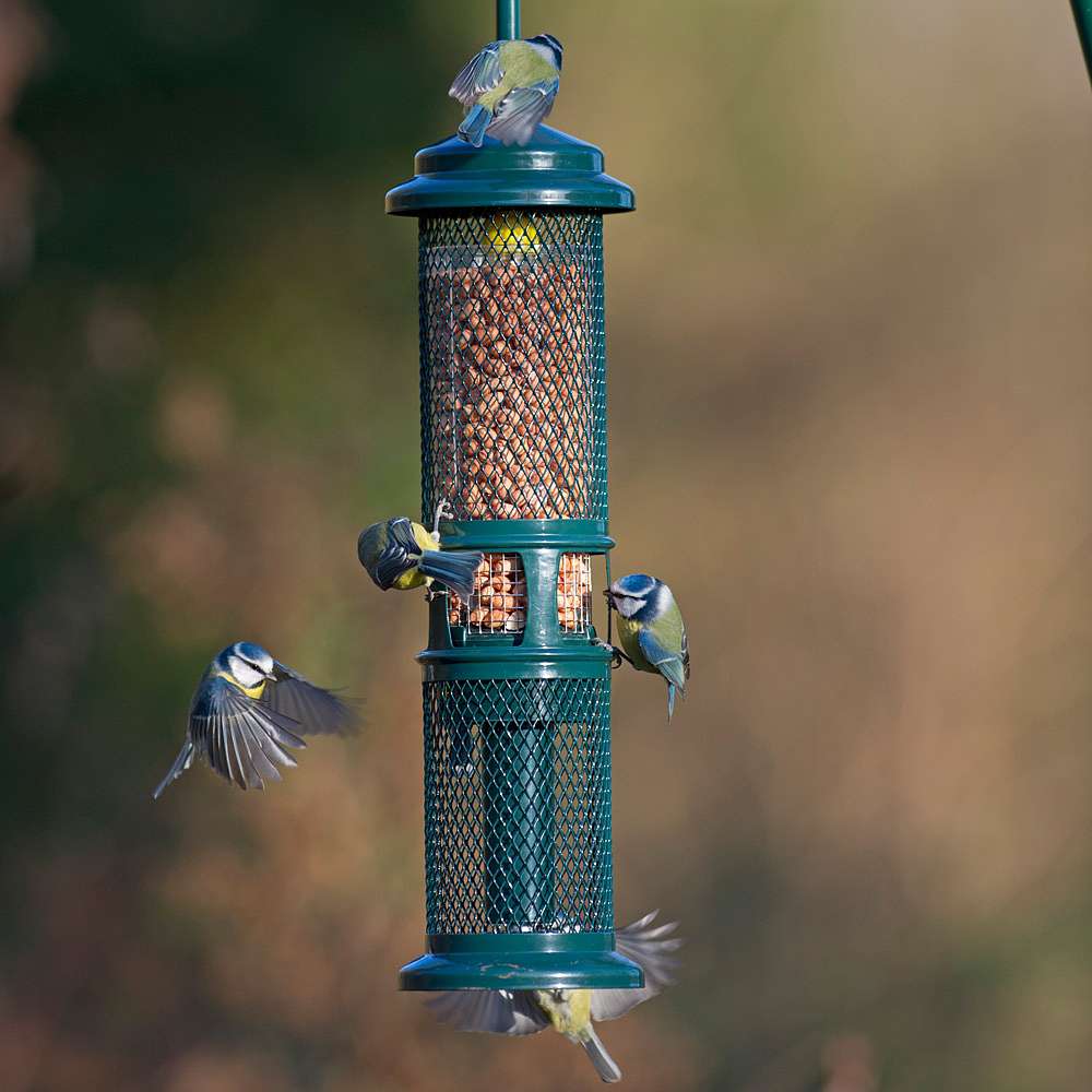 Brome Squirrel Buster Peanut Feeder Happy Beaks